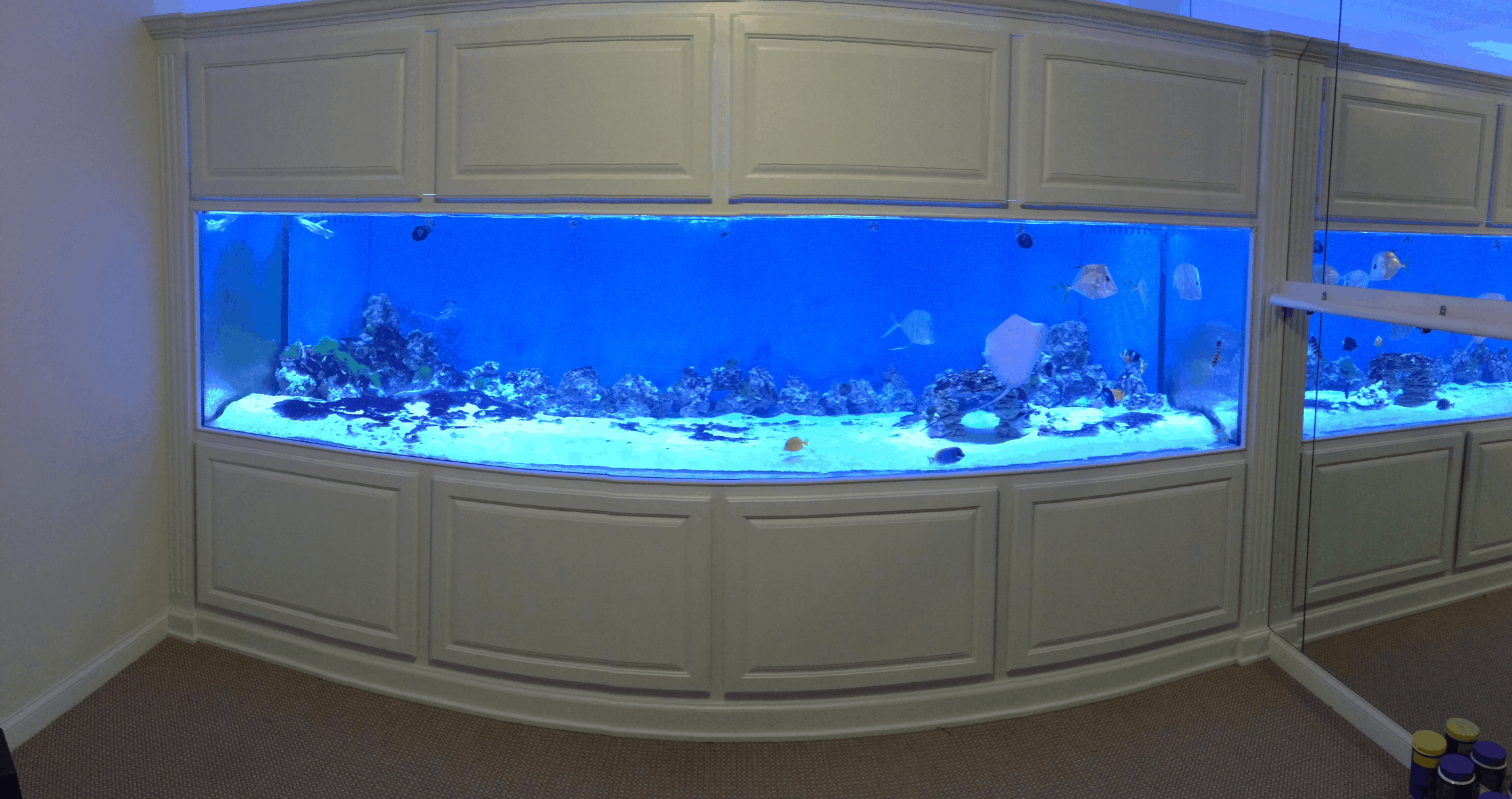 1000 Gallon Fish Tank 1000 Gallon Aquarium From SeaQuatic Aquariums
