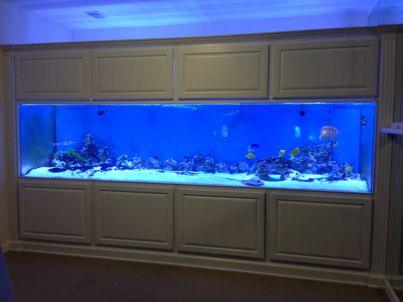 1000 Gallon Fish Tank 1000 Gallon Aquarium From SeaQuatic Aquariums 1000 Gallon Fish Tank 1000 Gallon Aquarium From SeaQuatic Aquariums